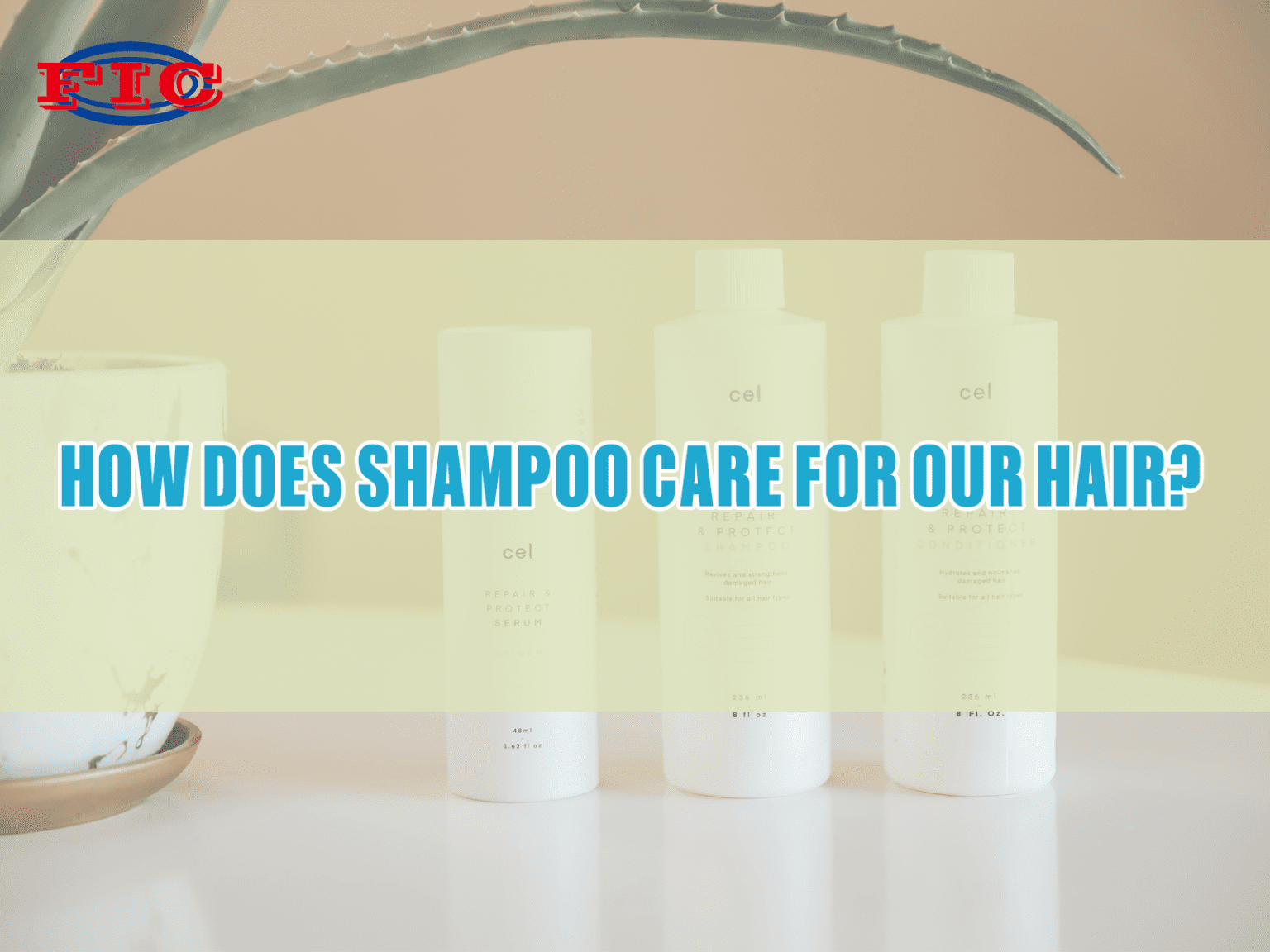 How Does Shampoo Care For Our Hair? - APRIL ENTERPRISE CO.,LIMITED